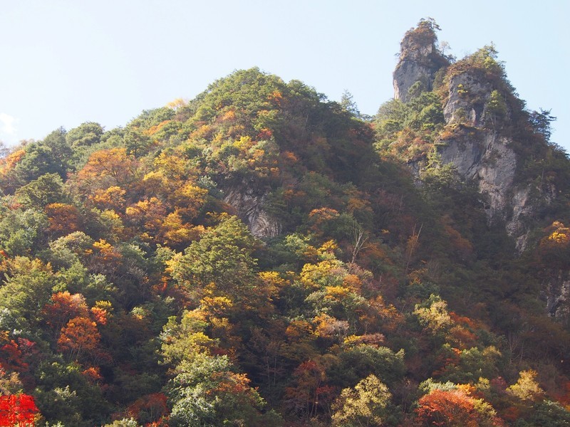 2023寻秋色（9）-中关村在线摄影论坛