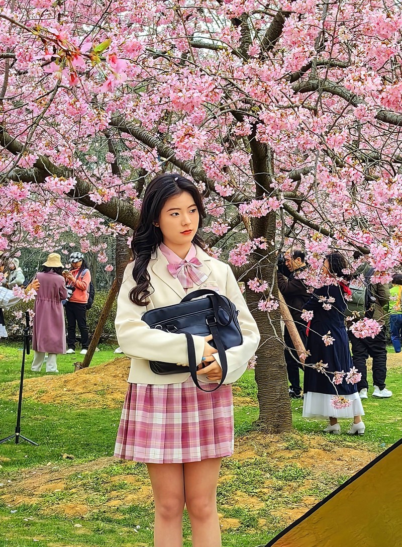 樱花园手机蹭拍 第2页-中关村在线摄影论坛