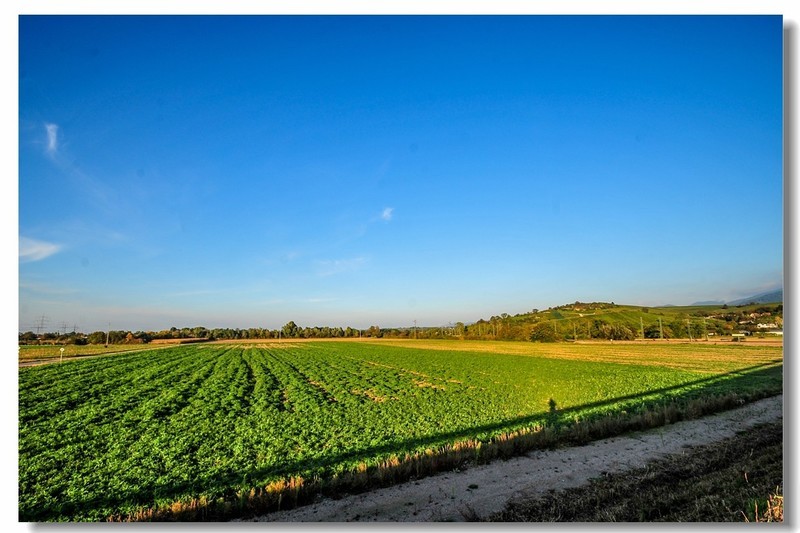 秋光-中关村在线摄影论坛