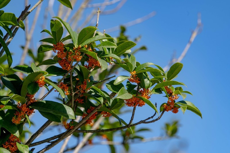 庐州印象（389）马拉松文化博物馆 第2页-中关村在线摄影论坛