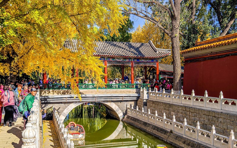 手机游拍20241105《12》-中关村在线摄影论坛