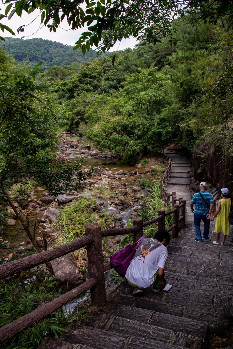 白江湖森林公园（三） 第2页-中关村在线摄影论坛