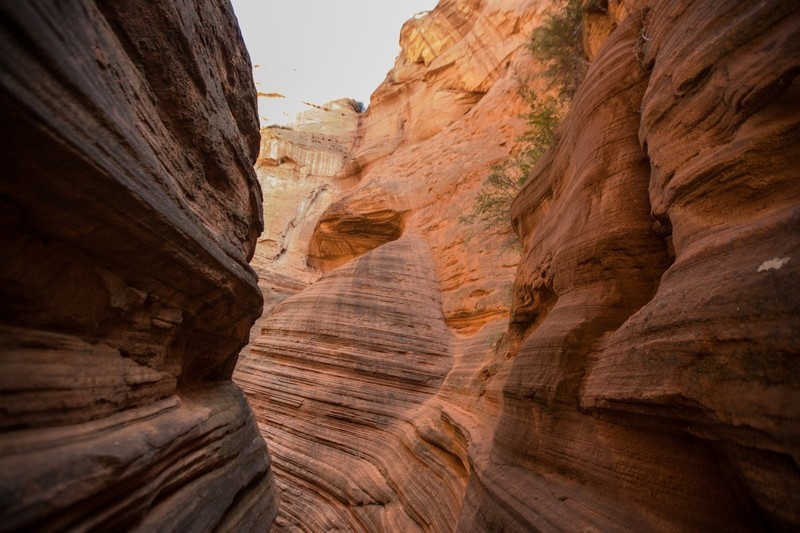 靖边一波浪谷（续十一） 。-中关村在线摄影论坛