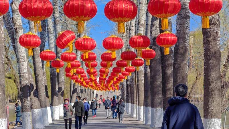 手机随拍20230318《17》-中关村在线摄影论坛