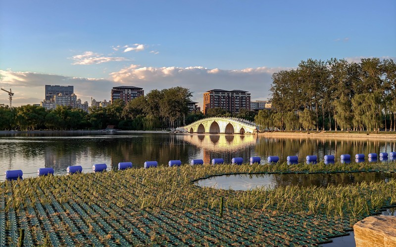 手机随拍20230620《79》 第4页-中关村在线摄影论坛