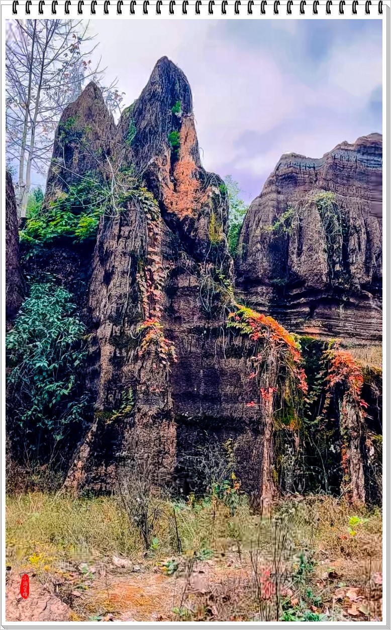 2022年红石山抓拍-22-中关村在线摄影论坛