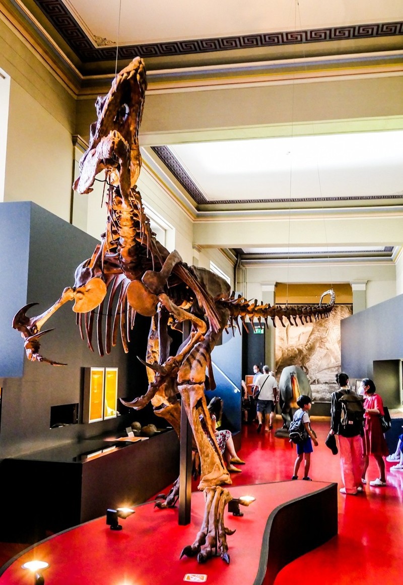 “自然博物馆”（人摄巴塞尔）-中关村在线摄影论坛