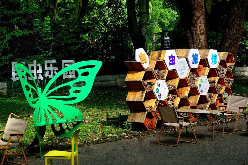 植物园昆虫乐园-中关村在线摄影论坛