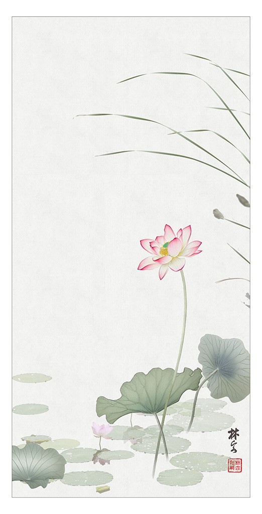 荷花三张-中关村在线摄影论坛