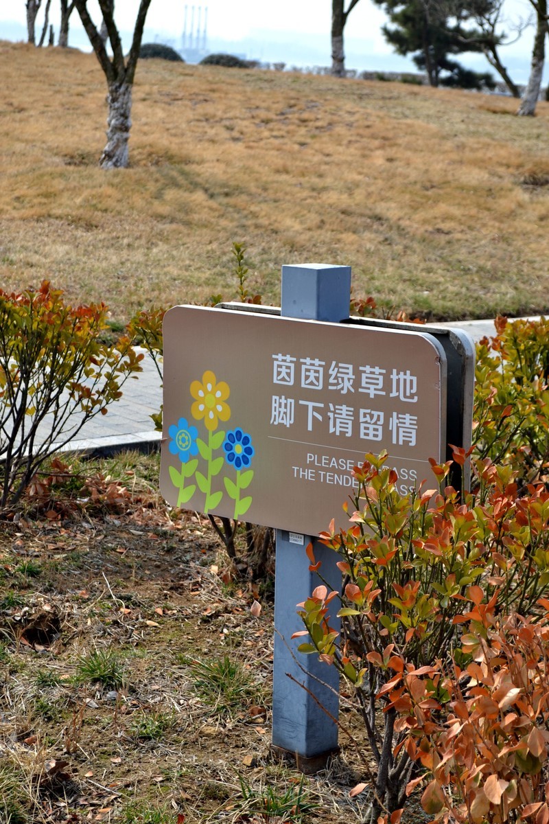 《拍在早春》三-中关村在线摄影论坛