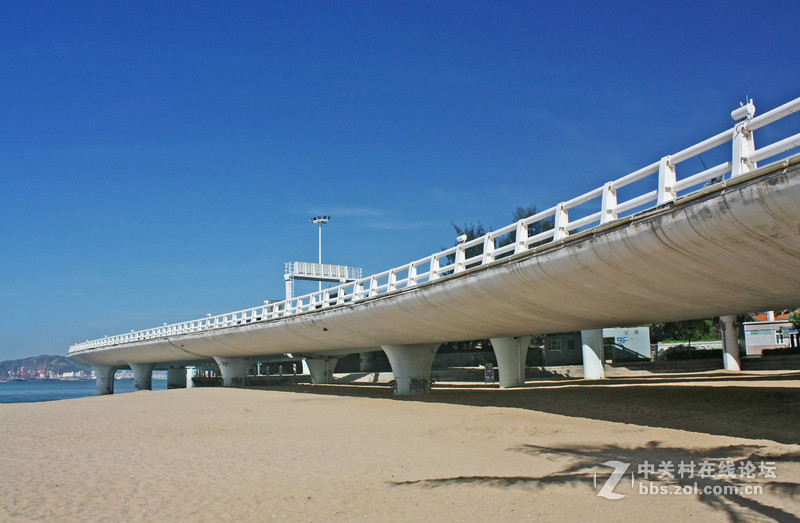 厦门成功大道-中关村在线摄影论坛