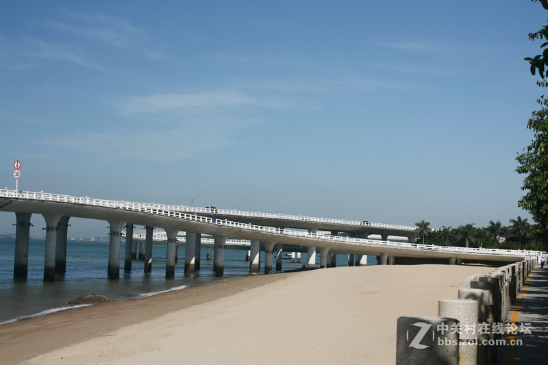 厦门成功大道-中关村在线摄影论坛