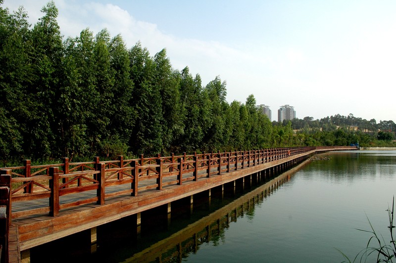 行摄湖畔（d70)-中关村在线摄影论坛