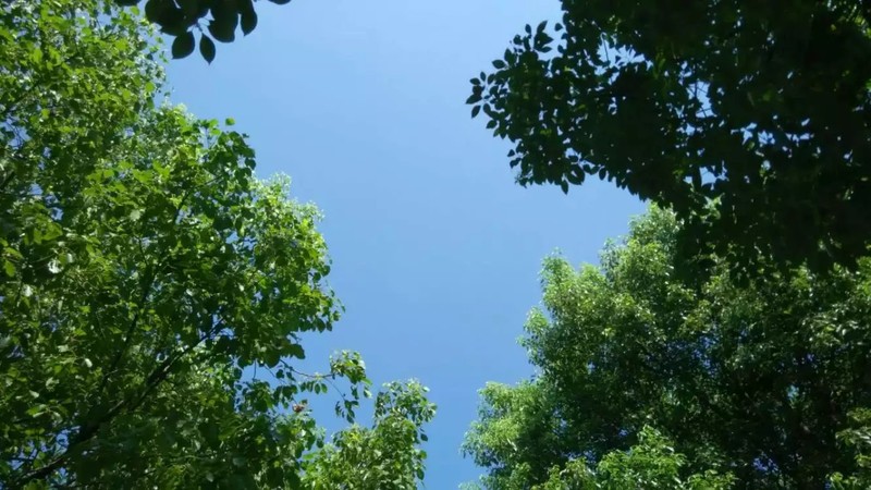 蓝天白云-中关村在线摄影论坛