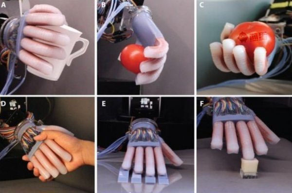 更柔软的机械手——Gentle Bot-中关村在线综合论坛