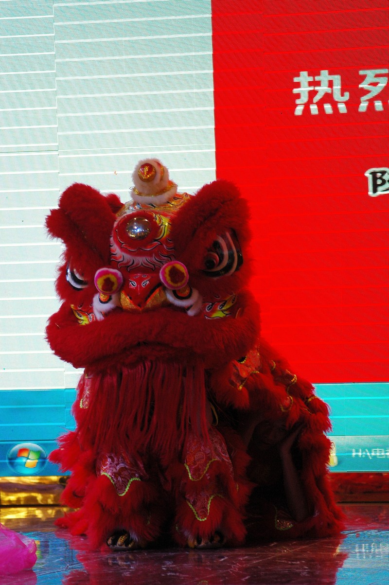 醒狮-中关村在线摄影论坛