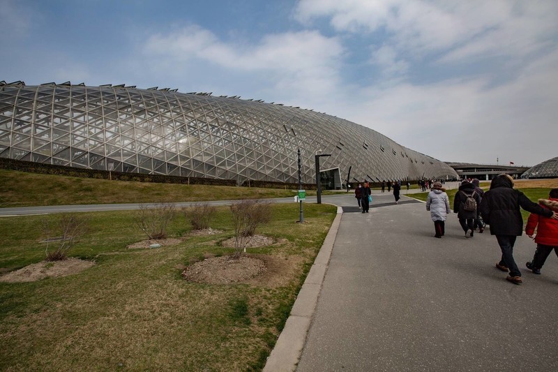 上海辰山植物园温室花卉一揽-中关村在线摄影论坛