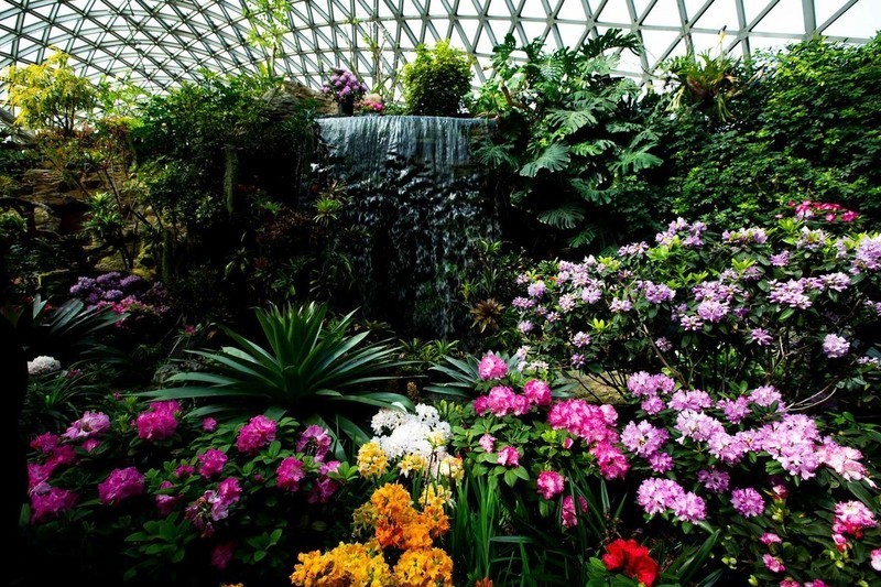 上海辰山植物园温室花卉一揽-中关村在线摄影论坛